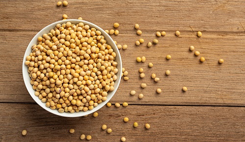 Fitoestrógenos y menopausia | Instituto de la Menopausia